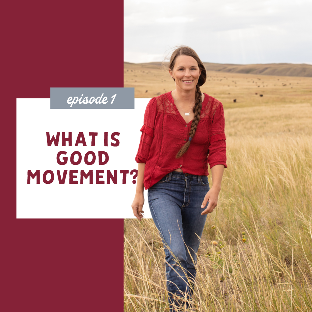 What Is Good Movement? [episode 1] - Faith Family & Beef