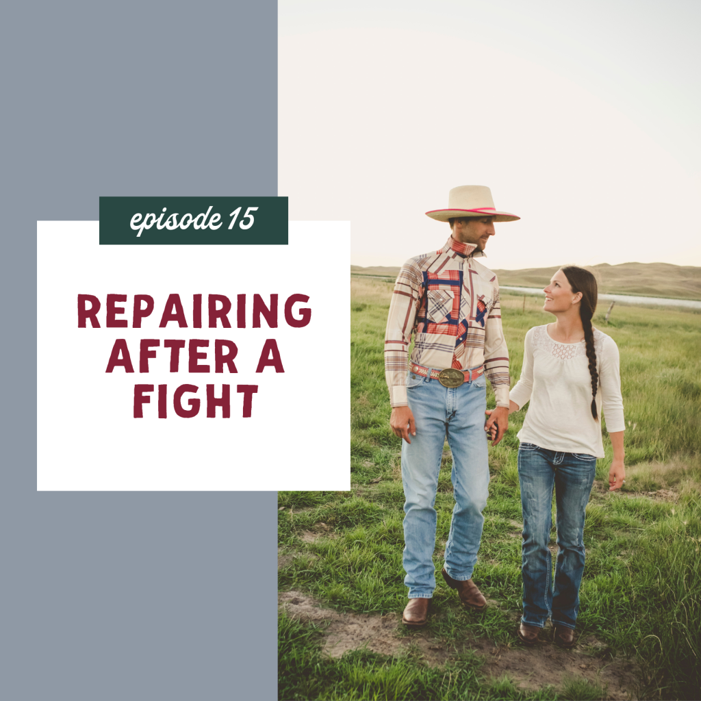Repairing After a Fight [episode 15] - Faith Family & Beef